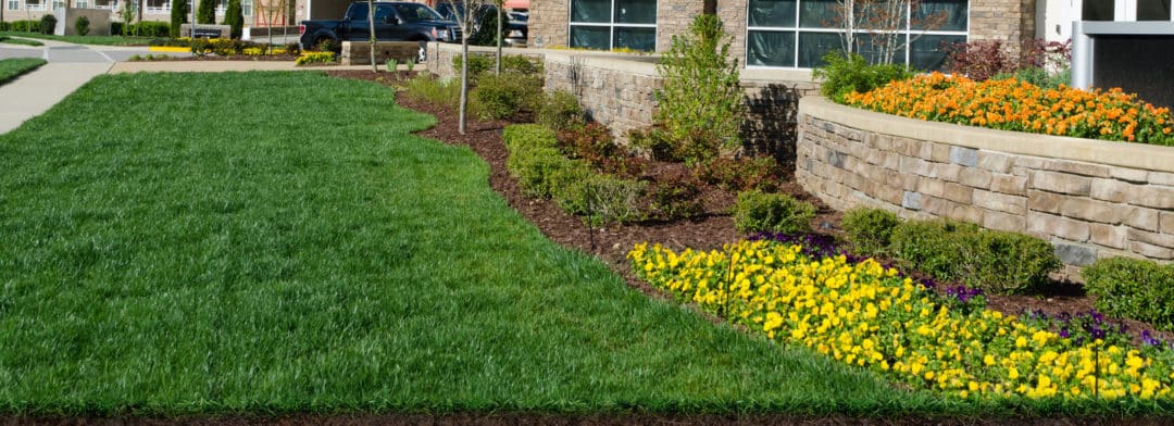 Commercial Landscaping In Louisville, KY | Taylor Landscaping